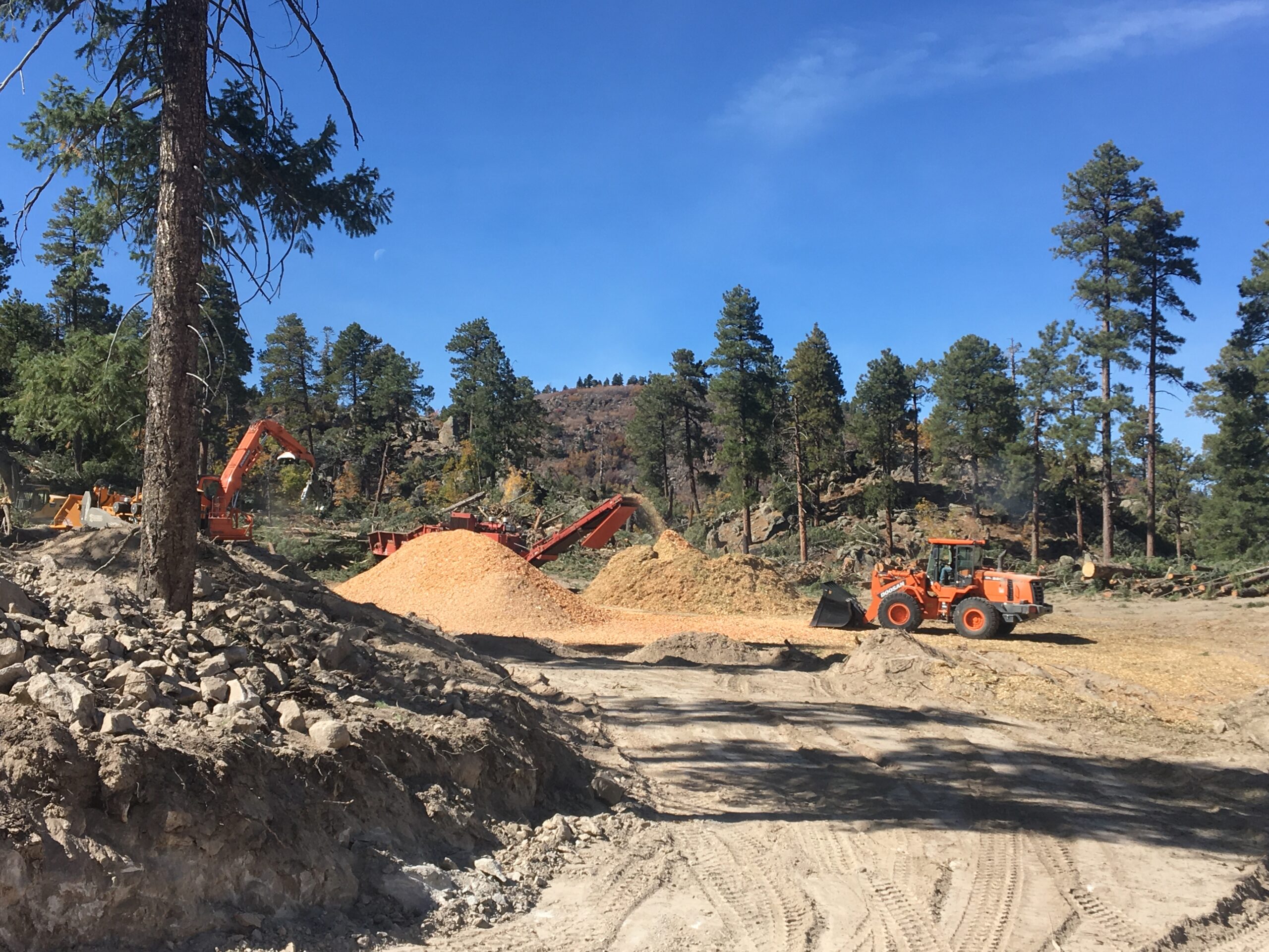 Coconino County Forest Restoration Initiative - Arizona Forward