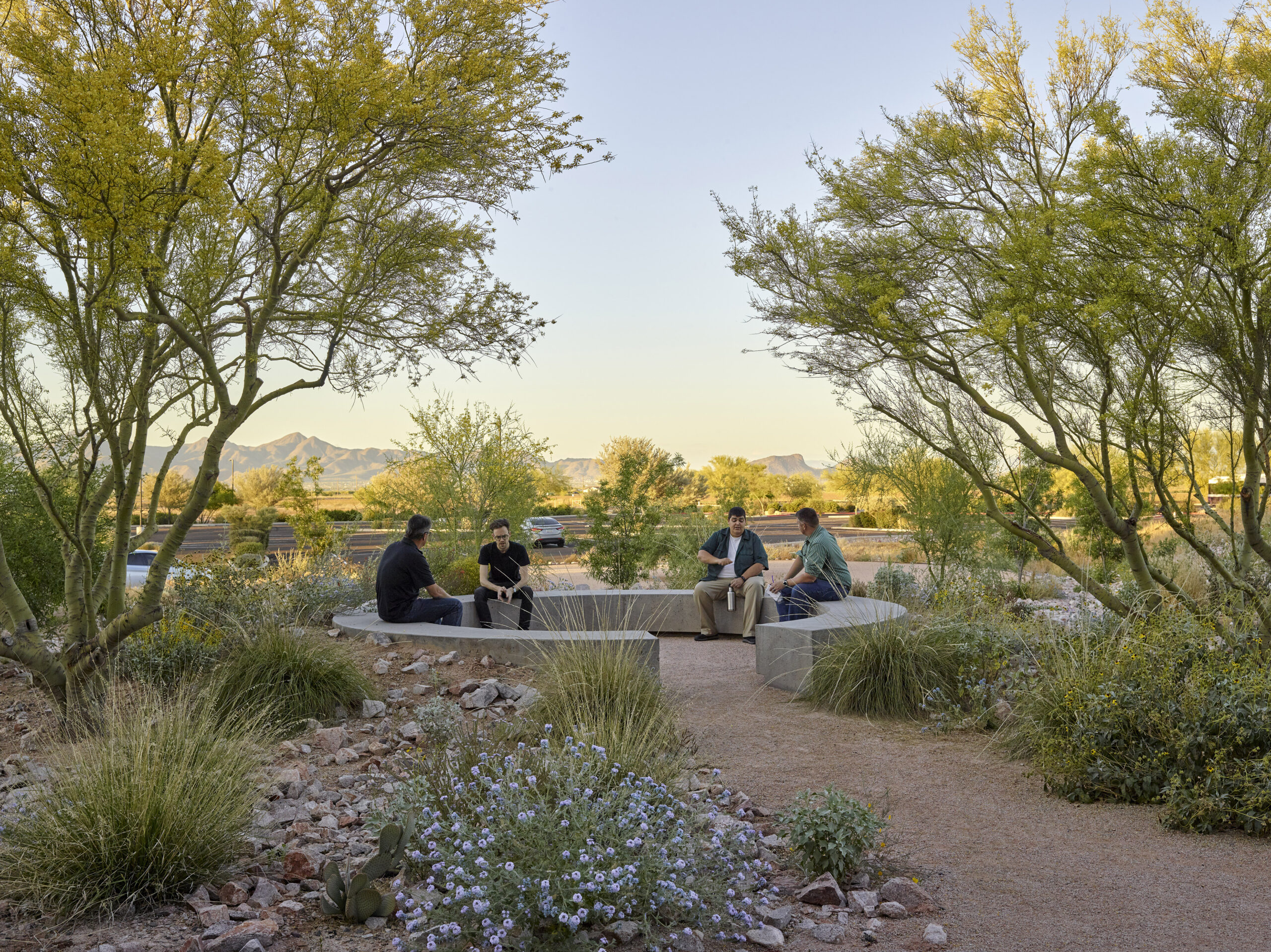 Cloud Song: Scottsdale Community College Business School & Indigenous ...